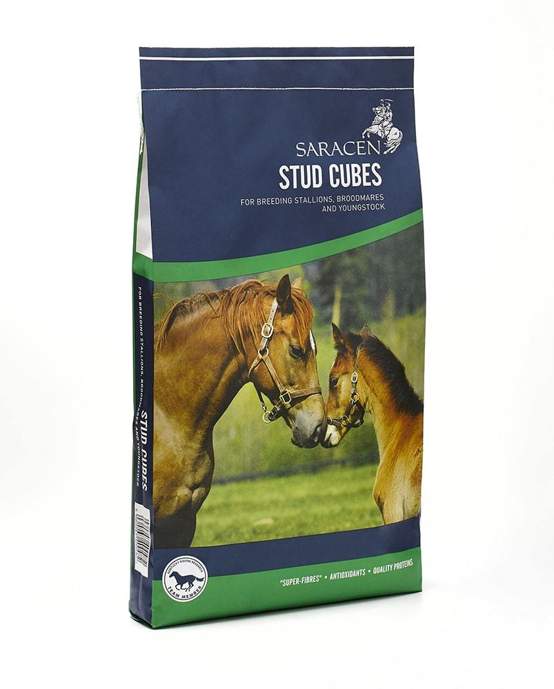 Stud Cubes - Saracen Horse Feeds